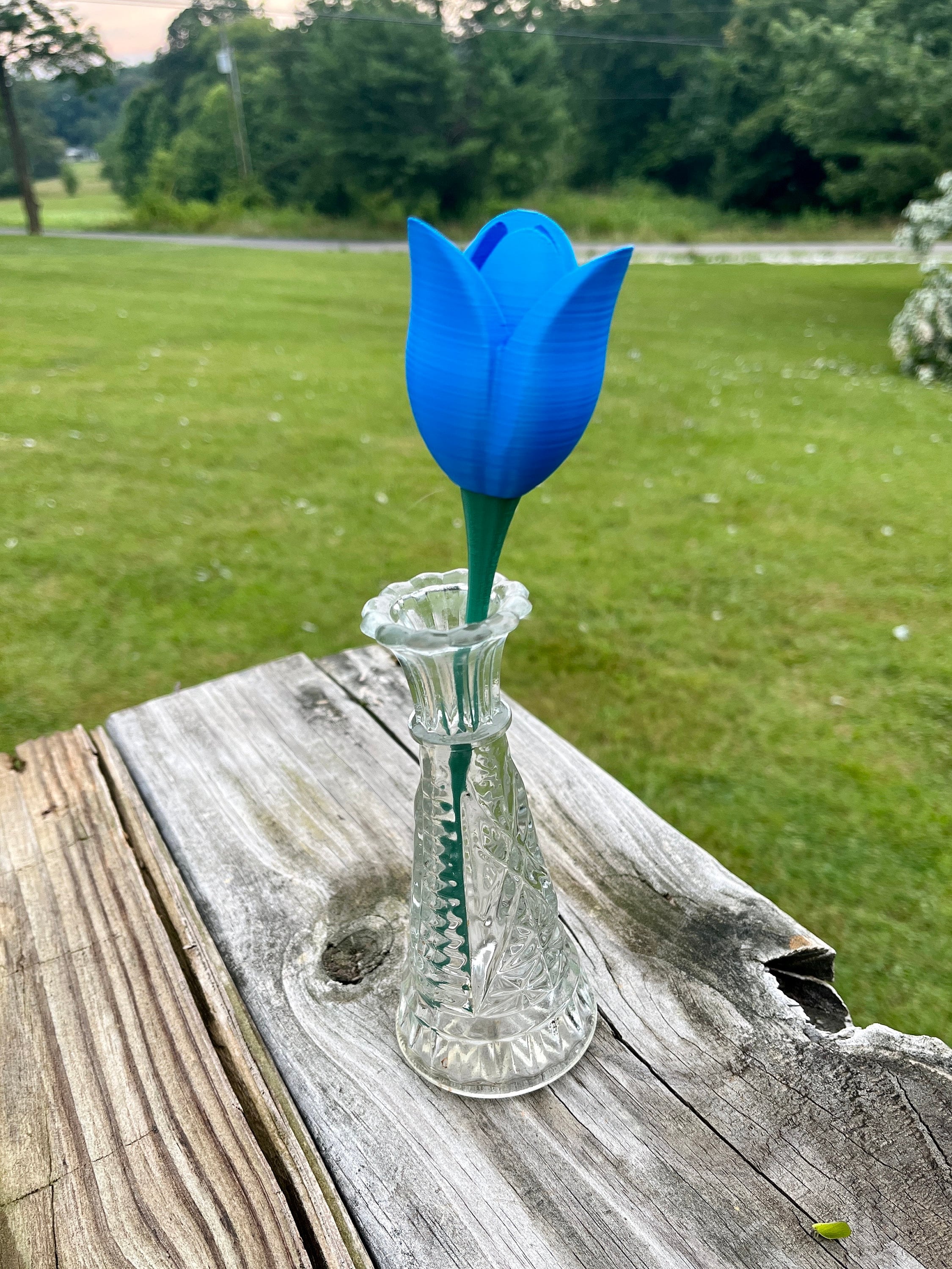 One 3D Printed Tulip Flower Custom - Etsy