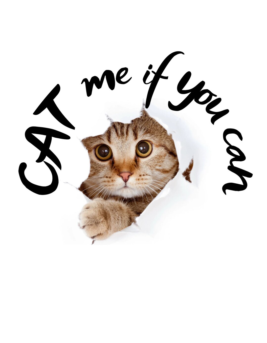 CAT Me If You Can, Love Cat, Cats - Etsy
