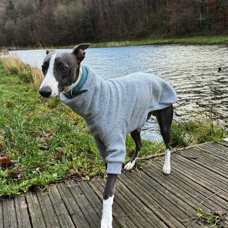 Whippet Coat - Etsy UK