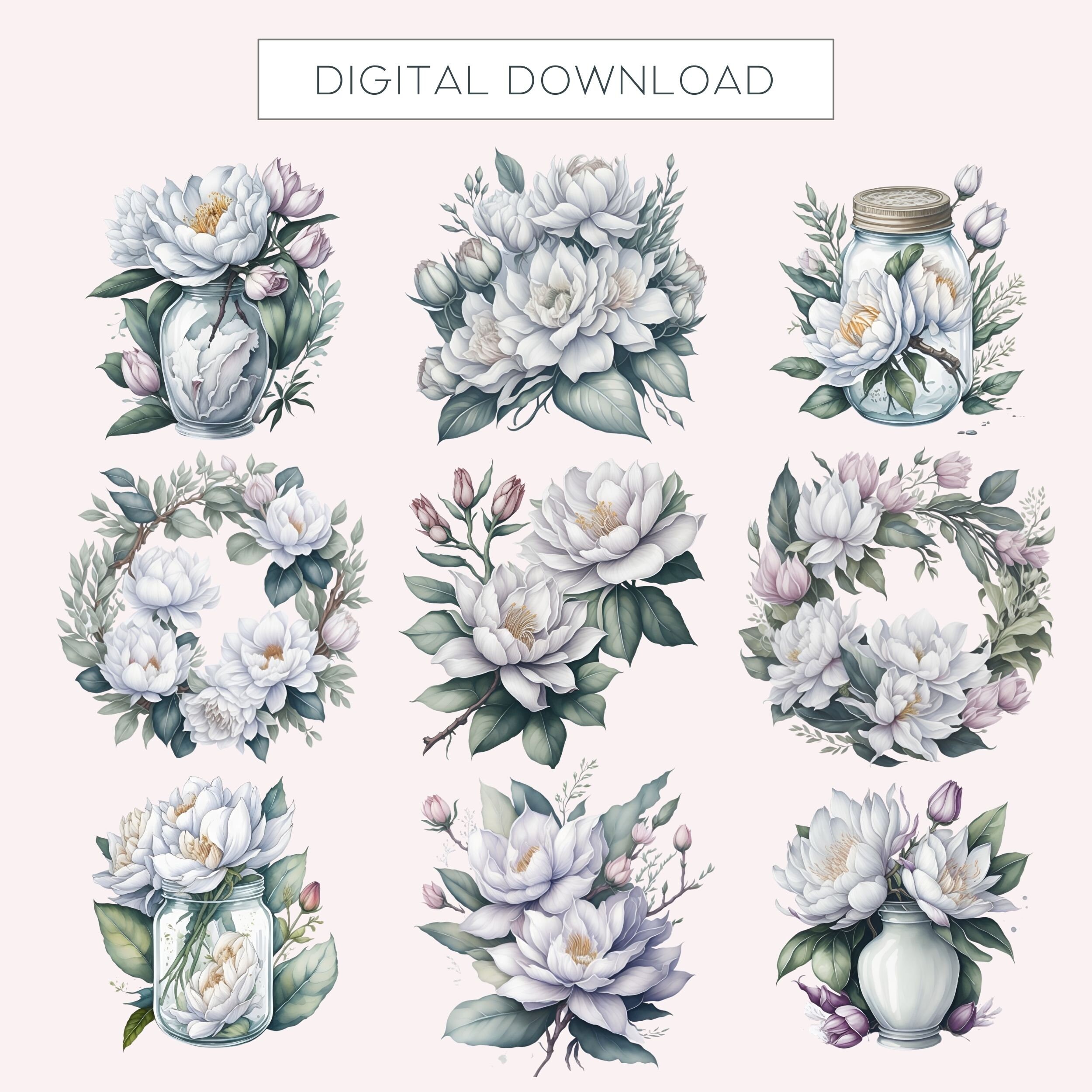 Watercolor Magnolias Clipart Pack, 30 Transparent Pngs, Flower ...