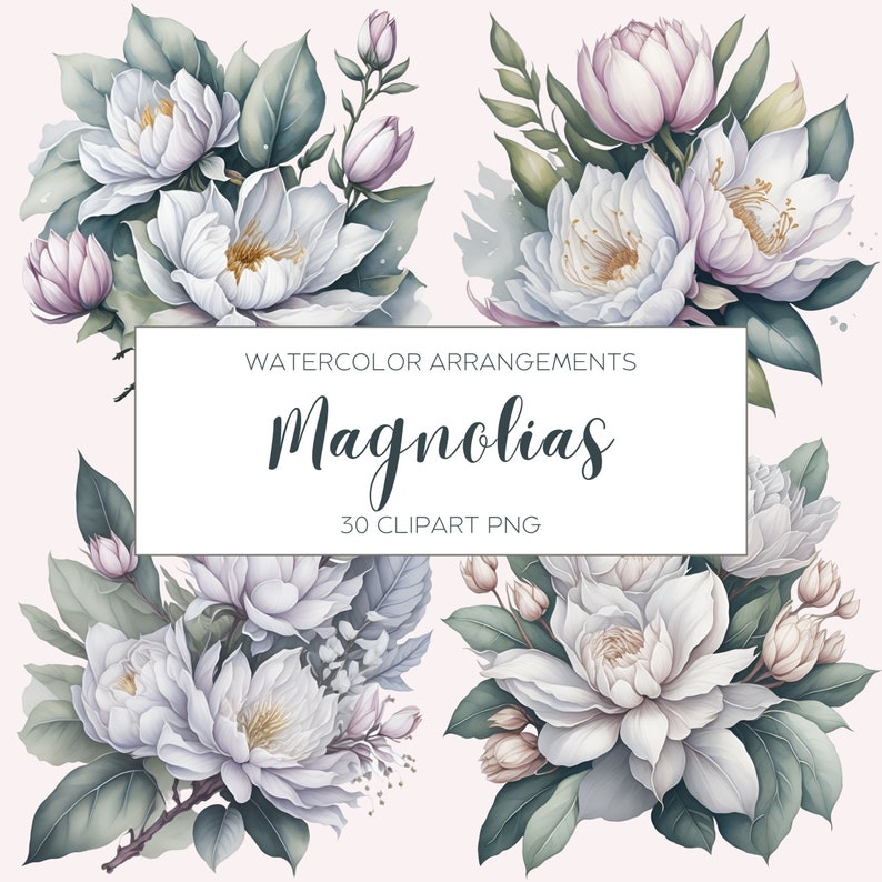 Watercolor Magnolias Clipart Pack, 30 Transparent Pngs, Flower ...