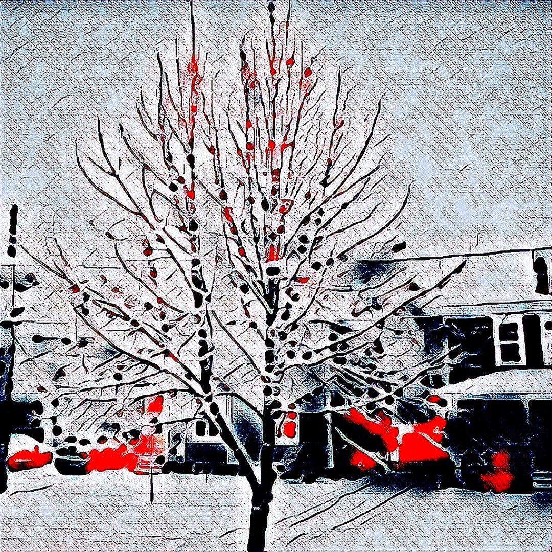 Quintessentially Canadian Greeting Card Set (winter) Part of a Series ...