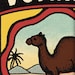 Retro Camel Matchbox Poster • Vintage India Art Print • Sizes 8x12 ...