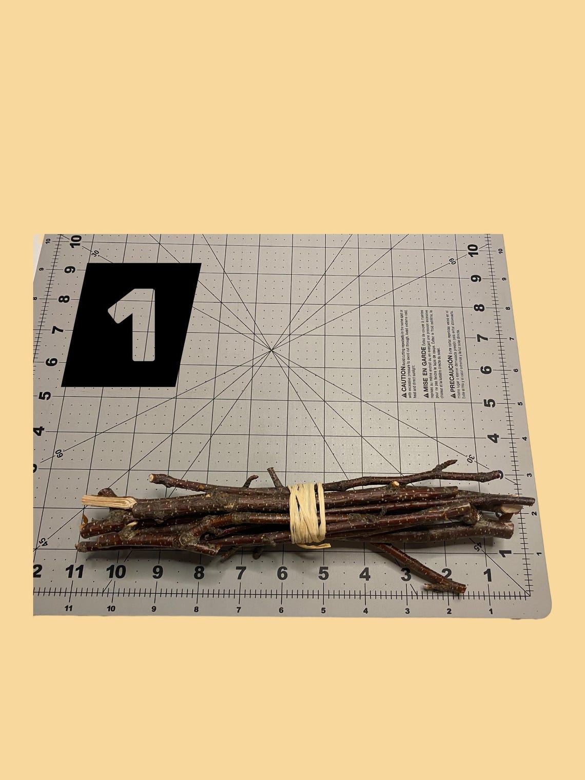 Paper Birch Branch Bundle - Rabbit Enrichment Toy - Etsy