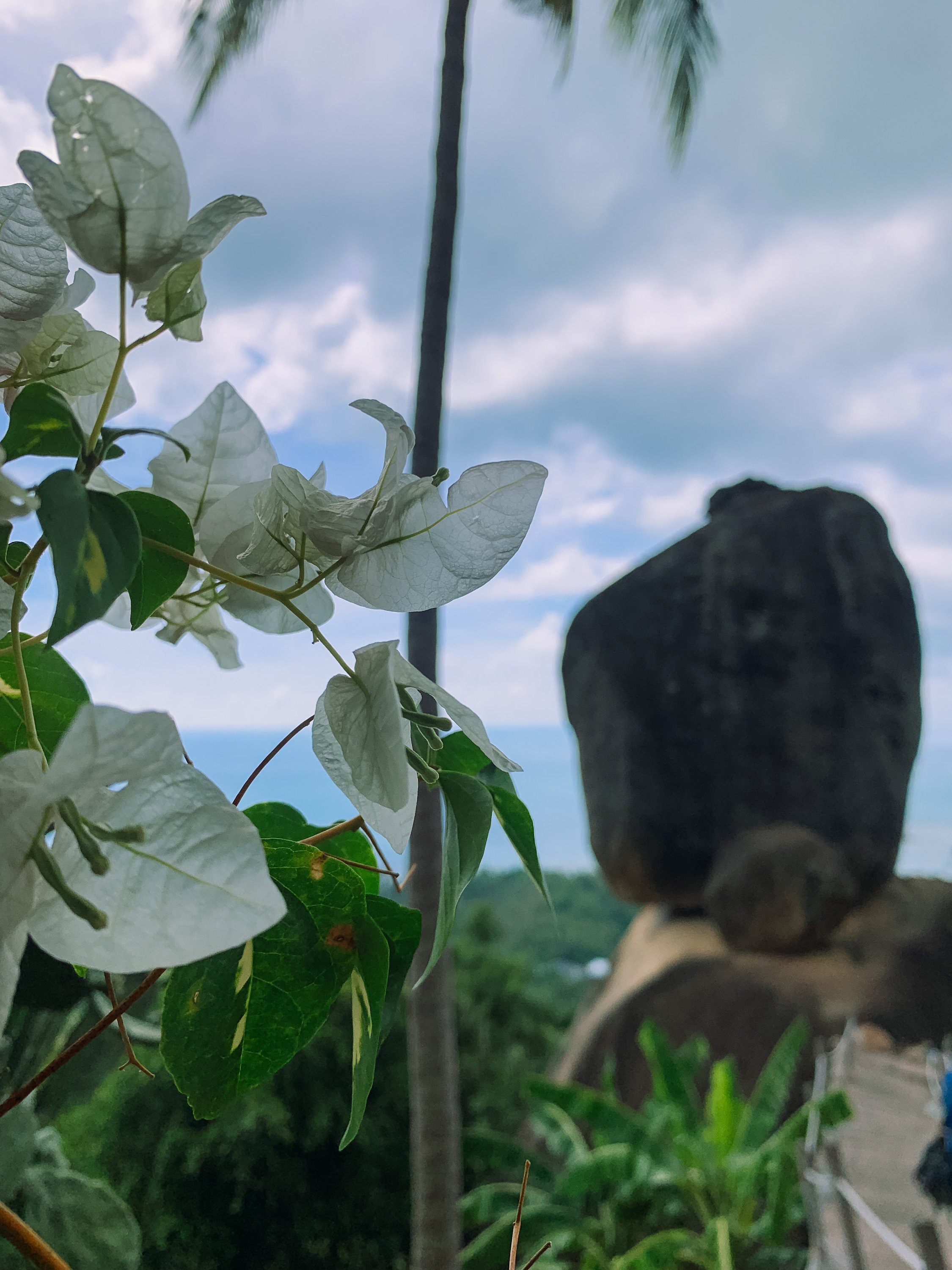 THAILAND, Koh Samui, Printable, Instant Print, Instant Download ...