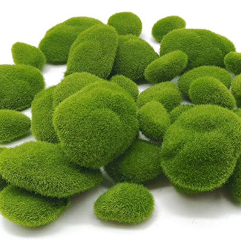 Decorative Moss - Etsy