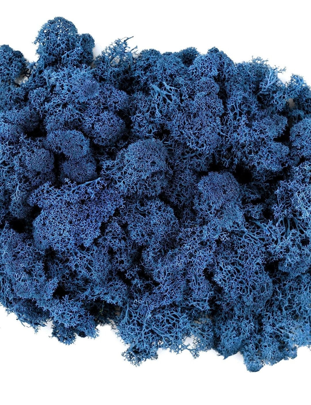 Reindeer Moss, Preserved Moss, Blue Reindeer Moss, Artificial Moss ...