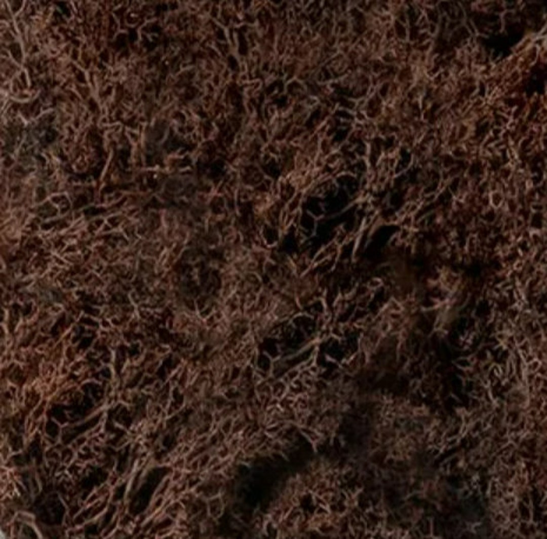 Reindeer Moss, Preserved Moss, Brown Reindeer Moss, Artificial Moss ...