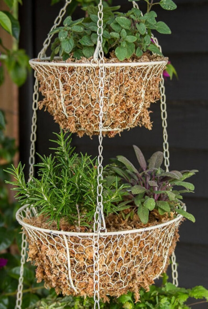 Sphagnum Moss, DIY Moss Art, Moss Art Kit Additions, Plant Decor - Etsy