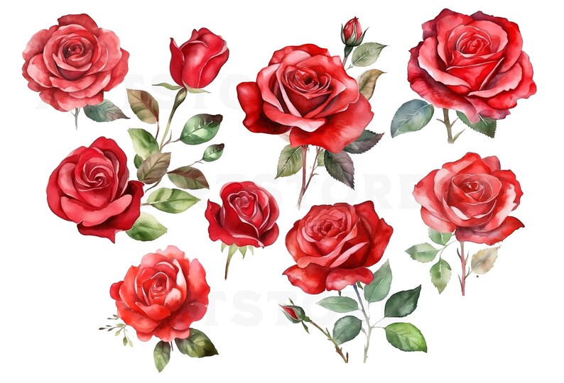 Instant Download: 15 Red Roses Clipart Set With PNG Files for Personal ...