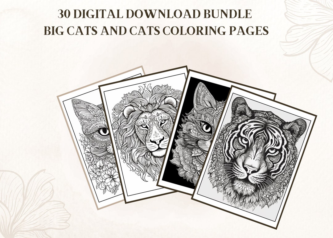 Digital Download Bundle Cat and Big Cat Coloring Pages - Etsy