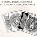 Digital Download Bundle Cat and Big Cat Coloring Pages - Etsy