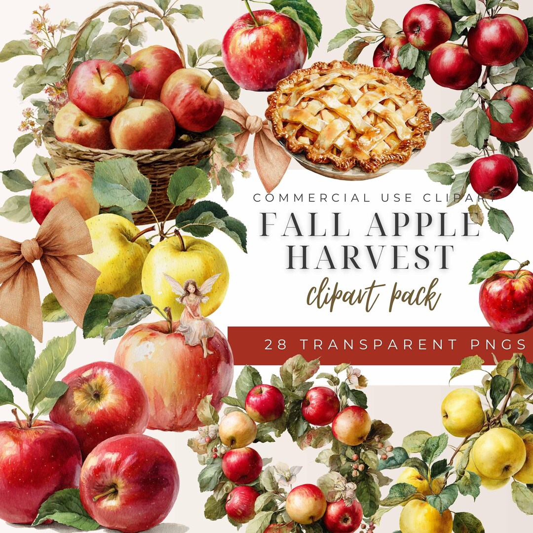 Fall Apple Harvest Watercolor Clipart Pack, Red Apples, Yellow Apples ...
