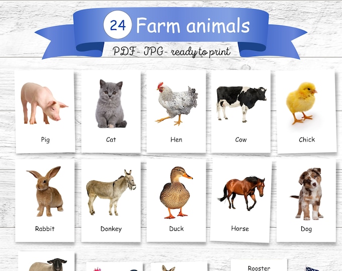 DESERT ANIMALS • 24 Editable Montessori Cards • Flash Cards ...