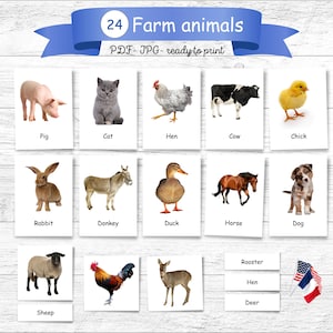 FARM ANIMALS Cards, Pre-school Cards, Montessori Printable, Flash Cards ...
