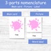 COLORS Montessori Cards, Editable Cards, Montessori Printable, Flash ...