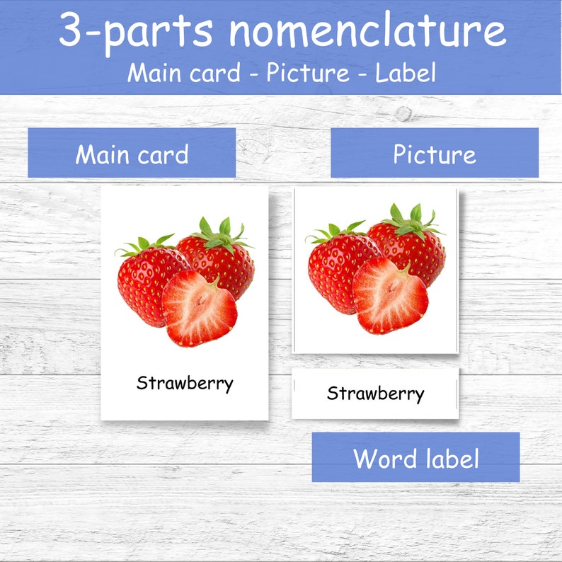 FRUITS Montessori Cards, Editable Cards, Montessori Printable, Flash ...