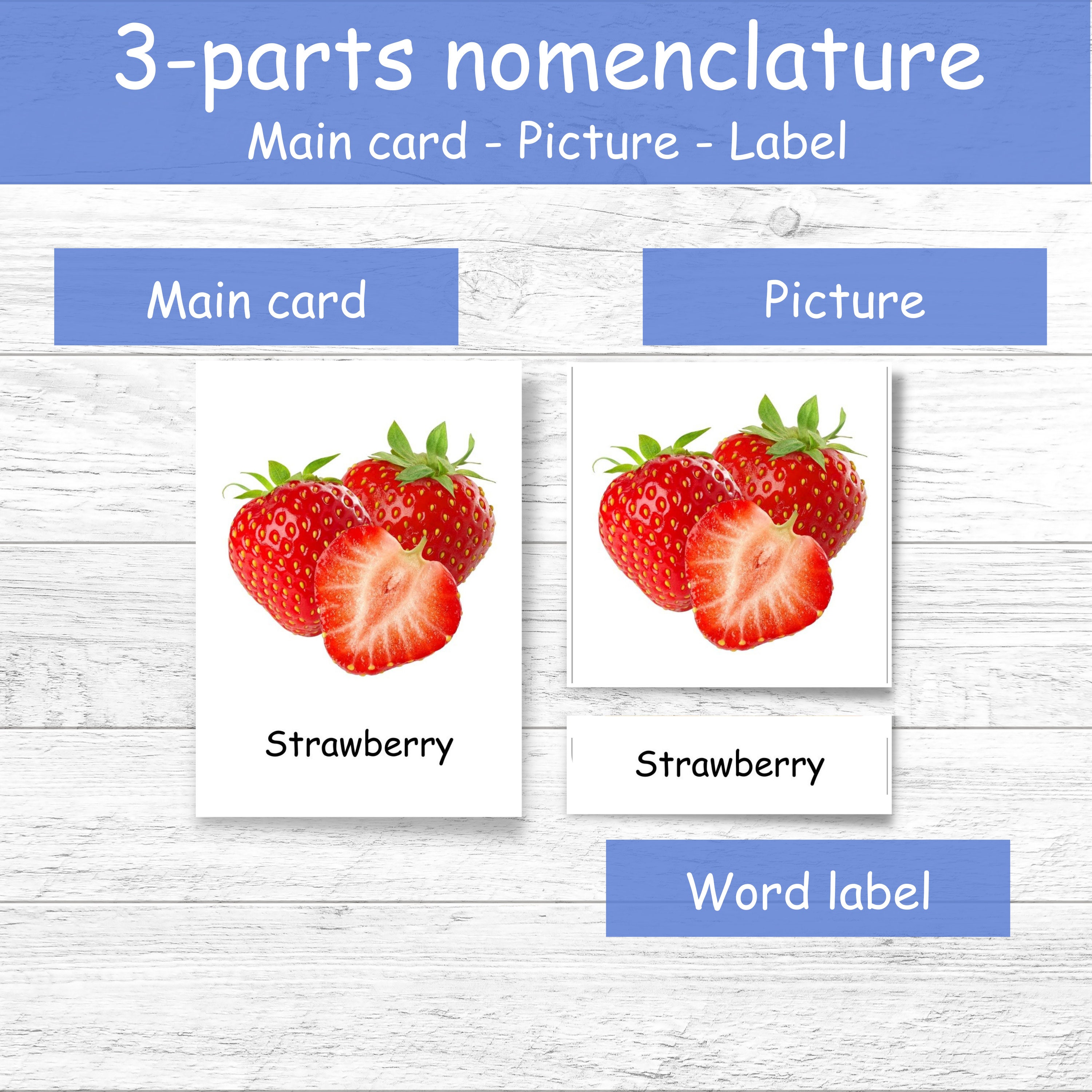 FRUITS Montessori Cards, Editable Cards, Montessori Printable, Flash ...