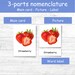 Set of Montessori Flashcards, Flashcards Printable, Montessori ...