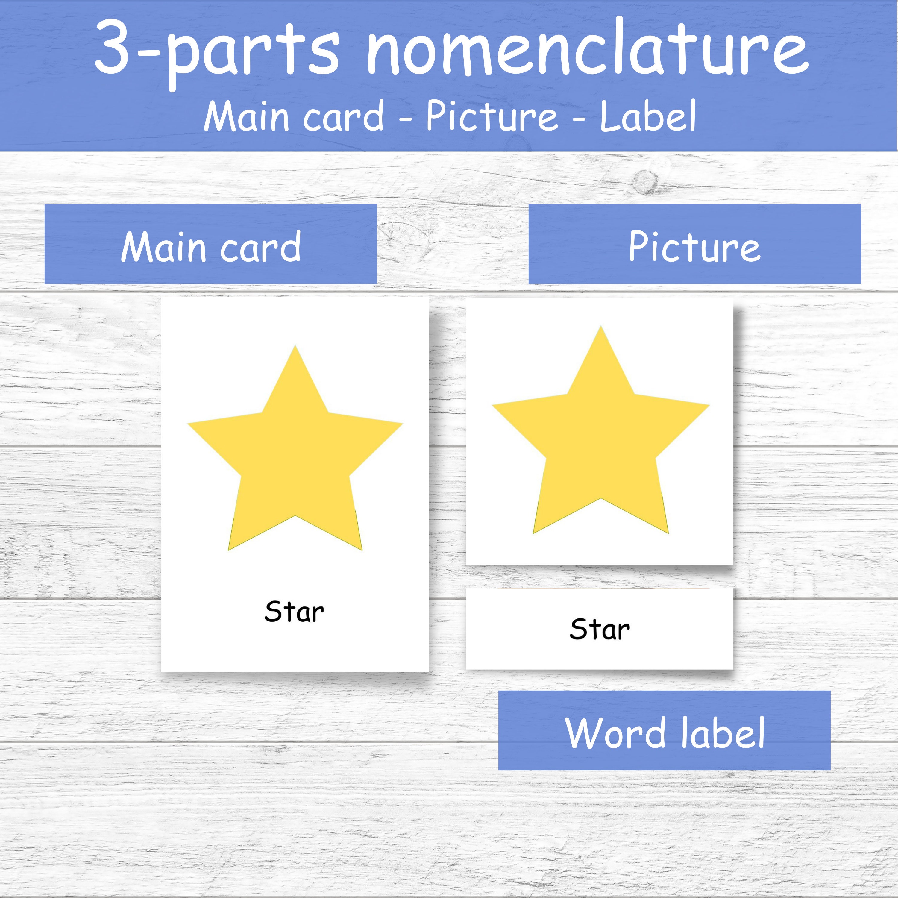SHAPES Montessori Cards, Editable Cards, Montessori Printable, Flash ...