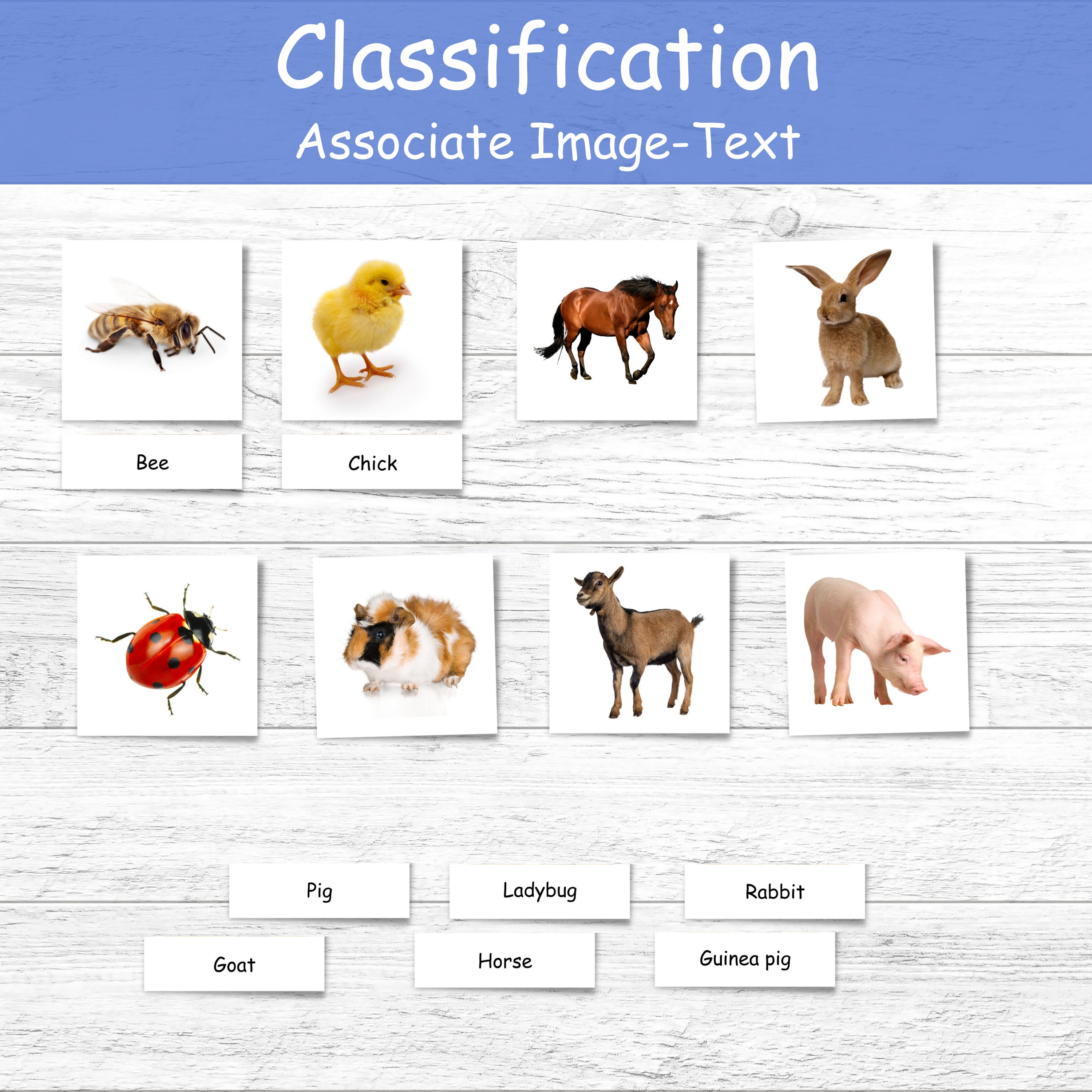 FARM ANIMALS Cards, Pre-school Cards, Montessori Printable, Flash Cards ...