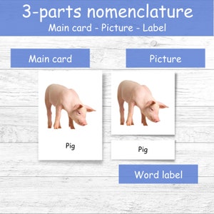 FARM ANIMALS Cards, Pre-school Cards, Montessori Printable, Flash Cards ...