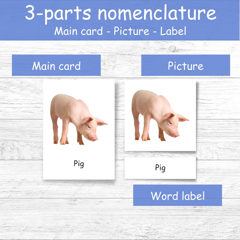 FARM ANIMALS Cards, Pre-school Cards, Montessori Printable, Flash Cards ...