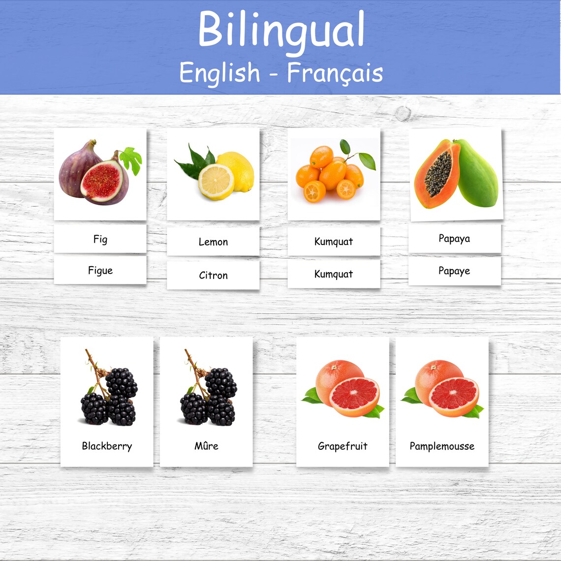 FRUITS Montessori Cards Editable Cards Montessori Printable - Etsy