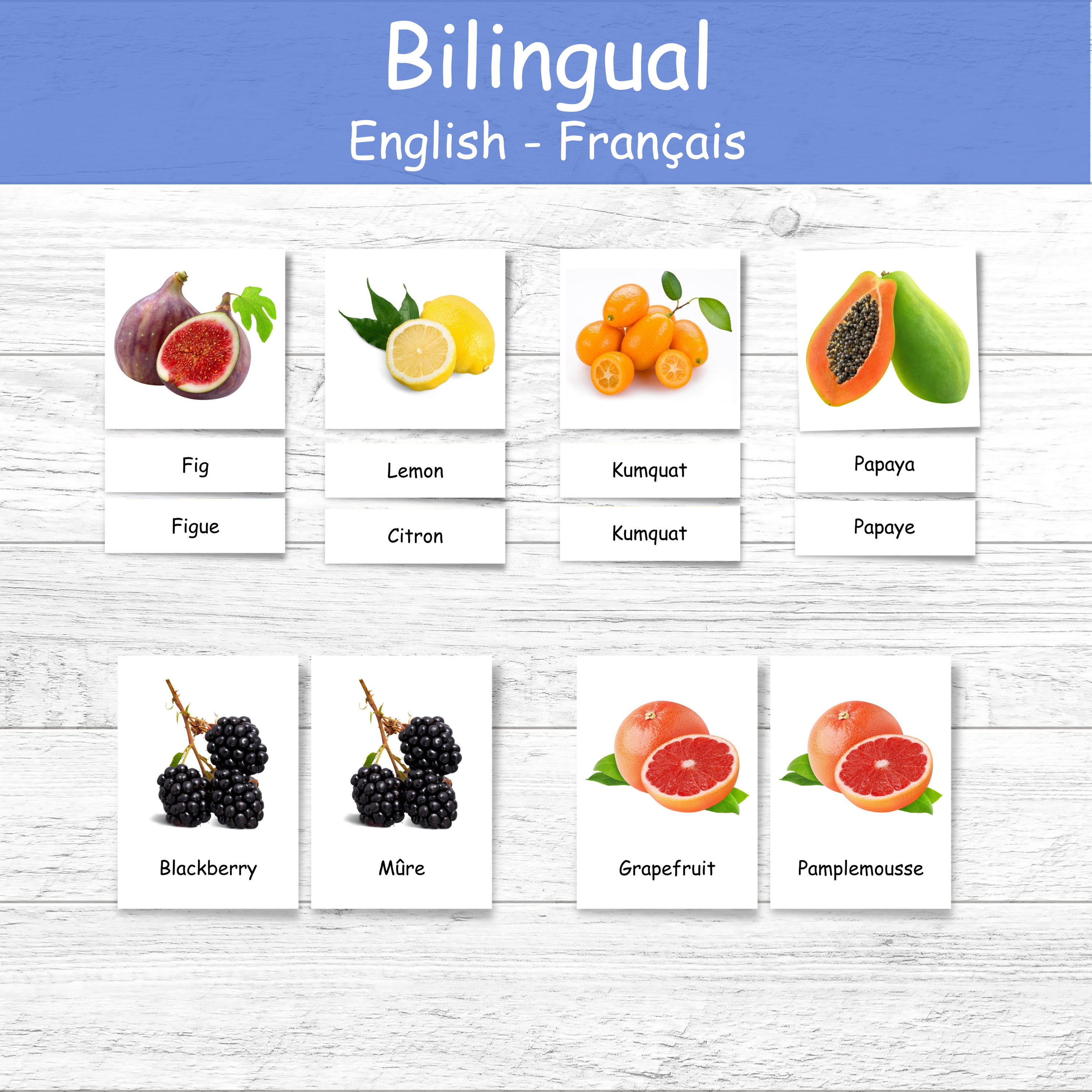 FRUITS Montessori Cards, Editable Cards, Montessori Printable, Flash ...