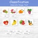 FRUITS Montessori Cards Editable Cards Montessori Printable - Etsy