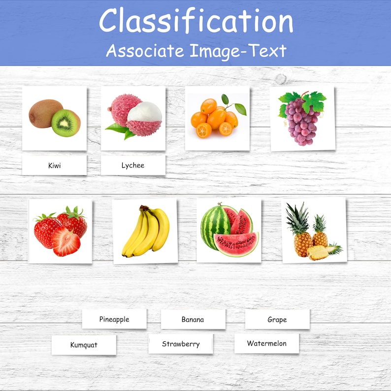 FRUITS Montessori Cards, Editable Cards, Montessori Printable, Flash ...