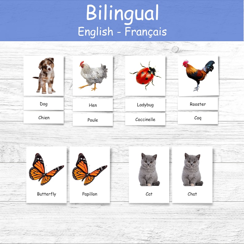 FARM ANIMALS Cards, Pre-school Cards, Montessori Printable, Flash Cards ...