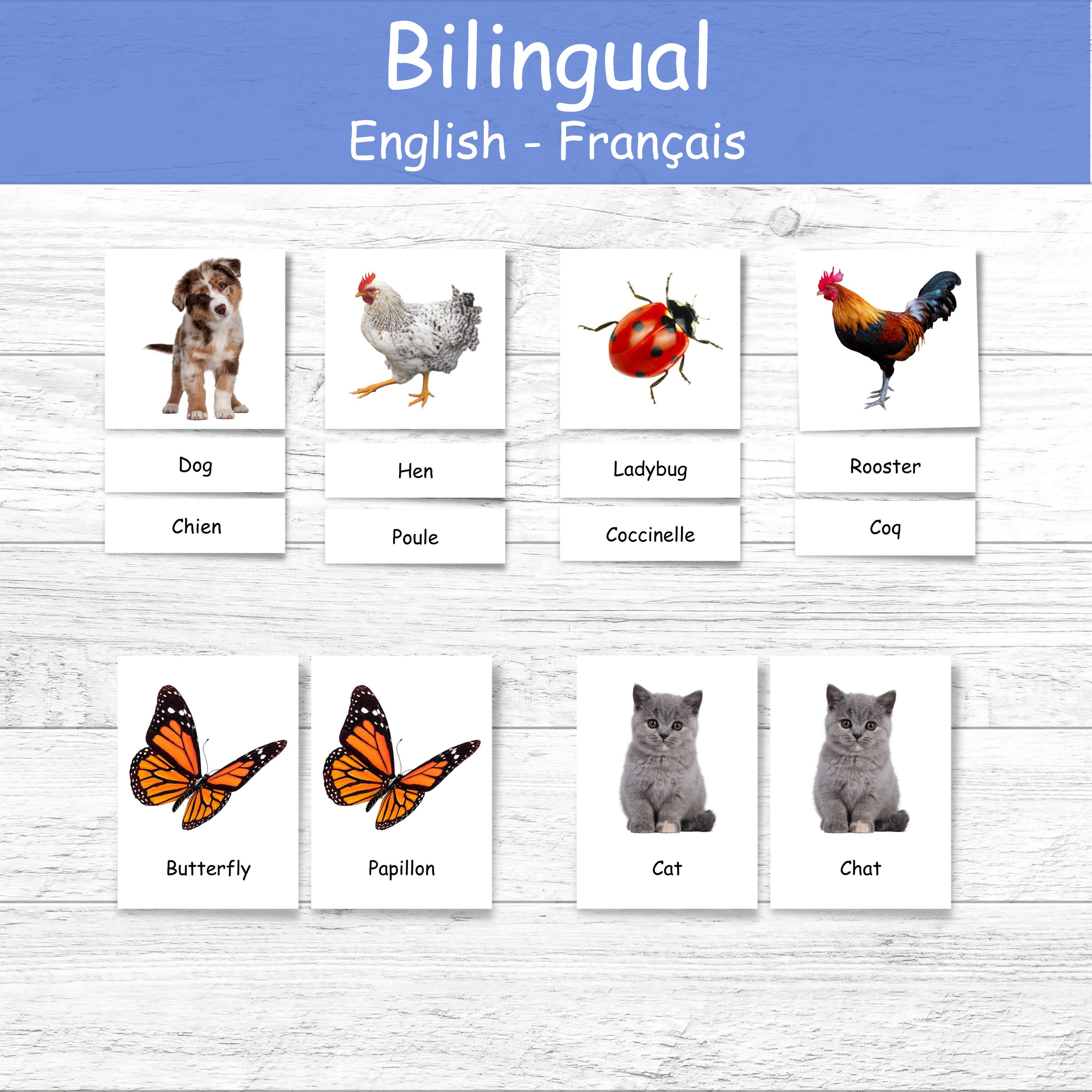 FARM ANIMALS Cards, Pre-school Cards, Montessori Printable, Flash Cards ...