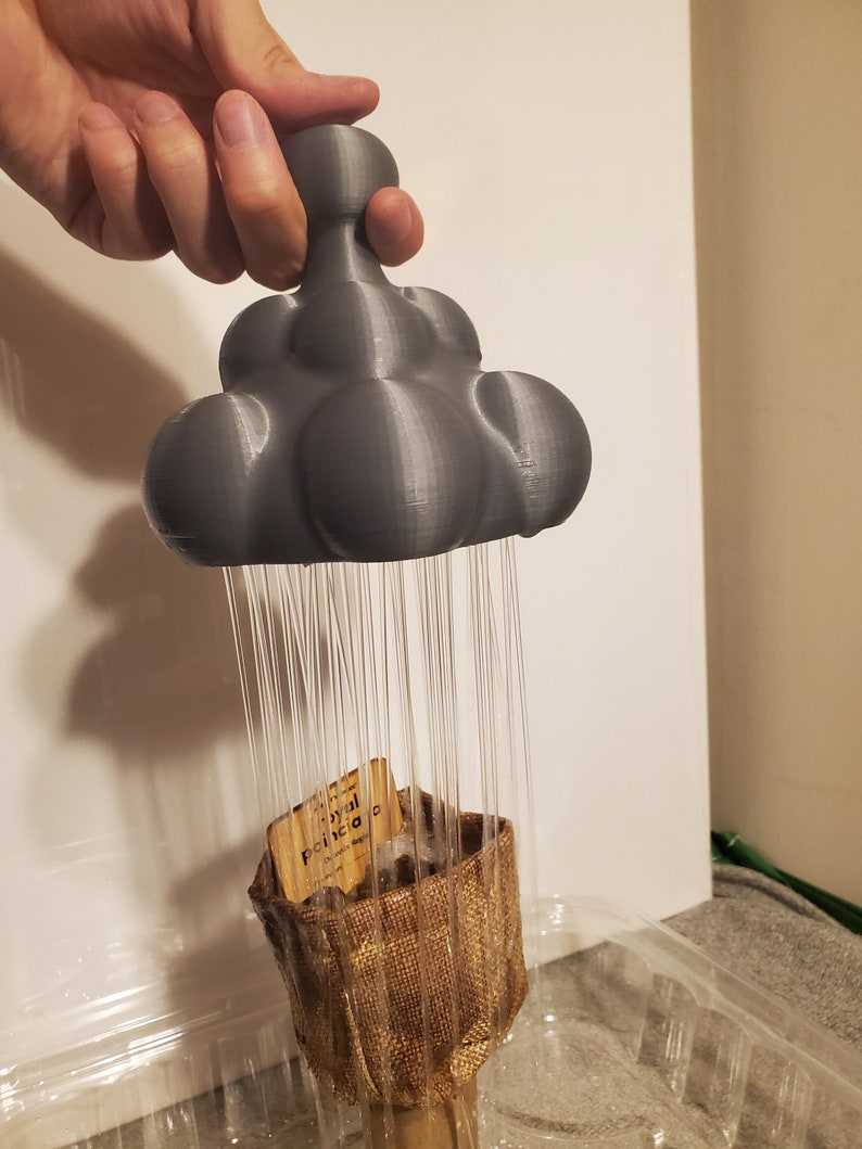 Enchanting Rain Cloud Flower Watering Pot / Watering Bell - A Whimsical ...