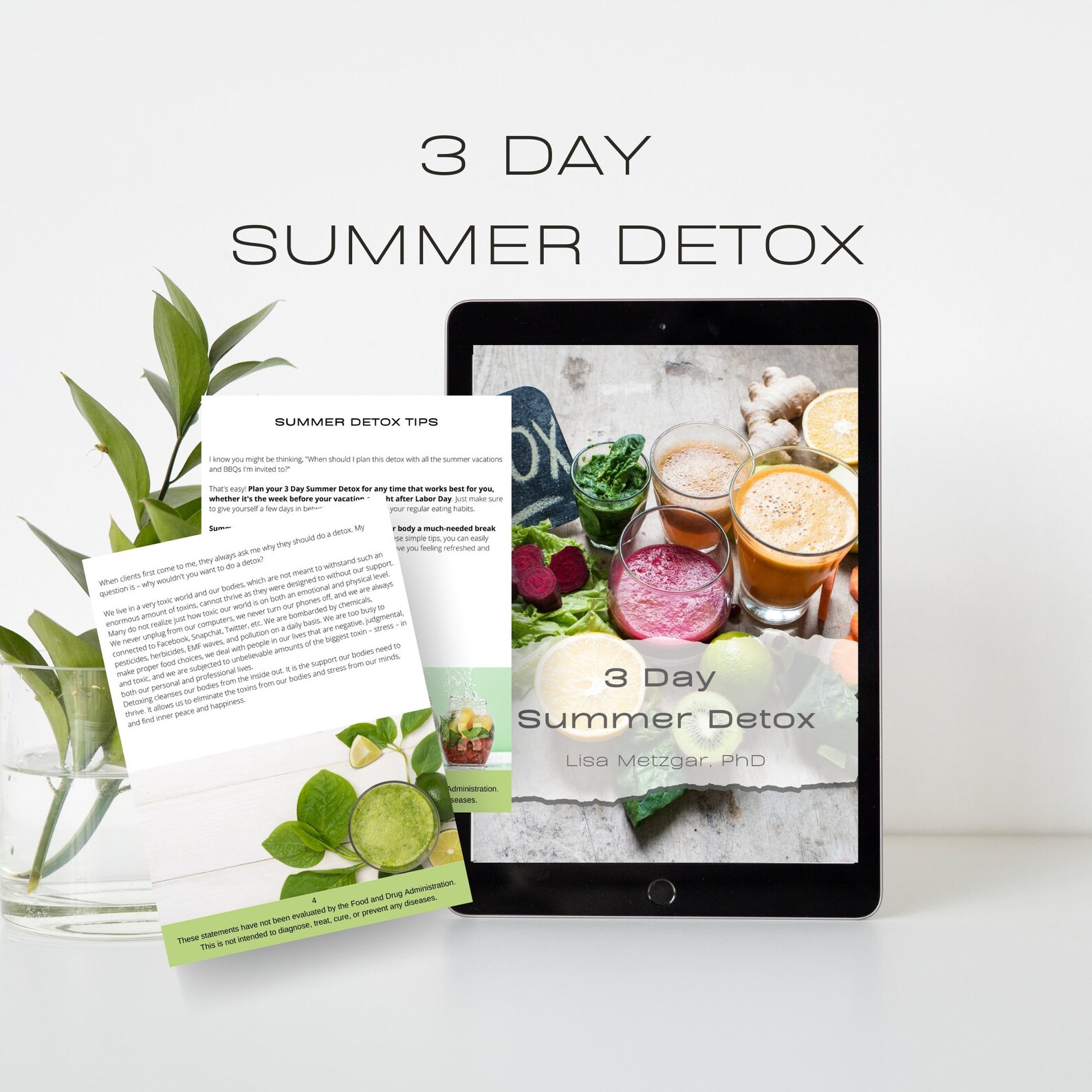 DETOX Program-meal Planner- Digital Recipes-weight Loss Diet-healthy ...
