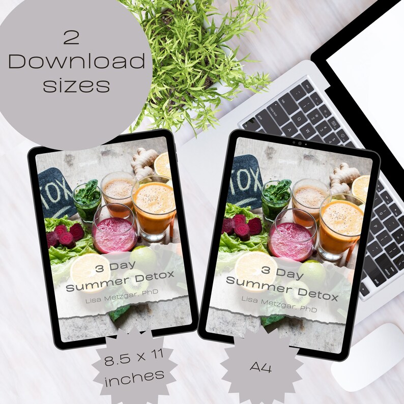 DETOX Program-meal Planner- Digital Recipes-weight Loss Diet-healthy ...