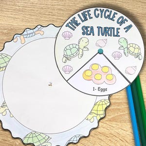Life Cycle of a Sea Turtle Wheel, Homeschool Science Unit Activity ...