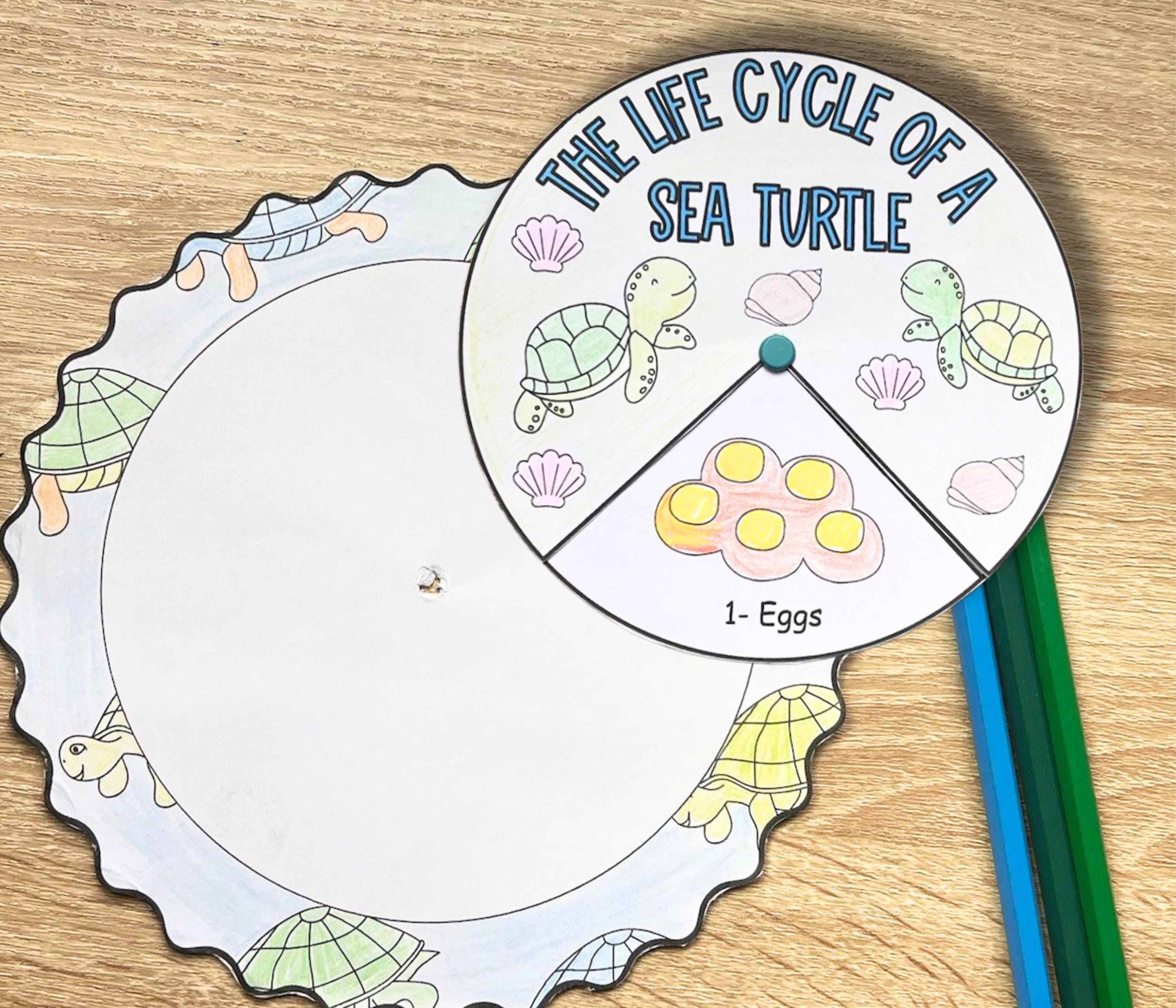 Life Cycle of a Sea Turtle Wheel, Homeschool Science Unit Activity ...