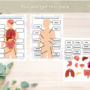Human Anatomy Busy Book Page for Toddlers, Preschool Learning Toddler ...