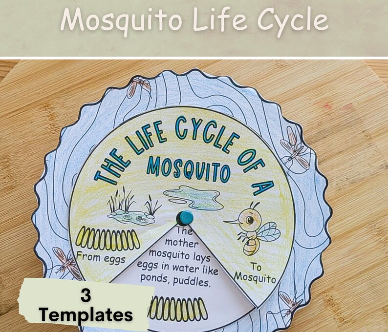 Life Cycle of a Mosquito Foldable Activity, Homeschool Science Unit ...