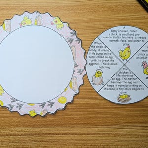 Life Cycle of a Chicken Wheel, Homeschool Science Unit Study ...