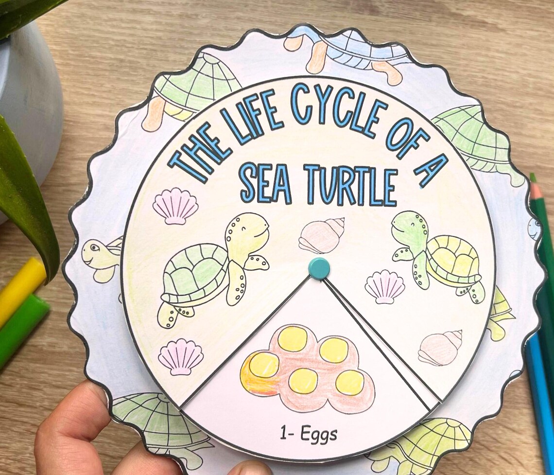 Life Cycle of a Sea Turtle Wheel, Homeschool Science Unit Activity ...