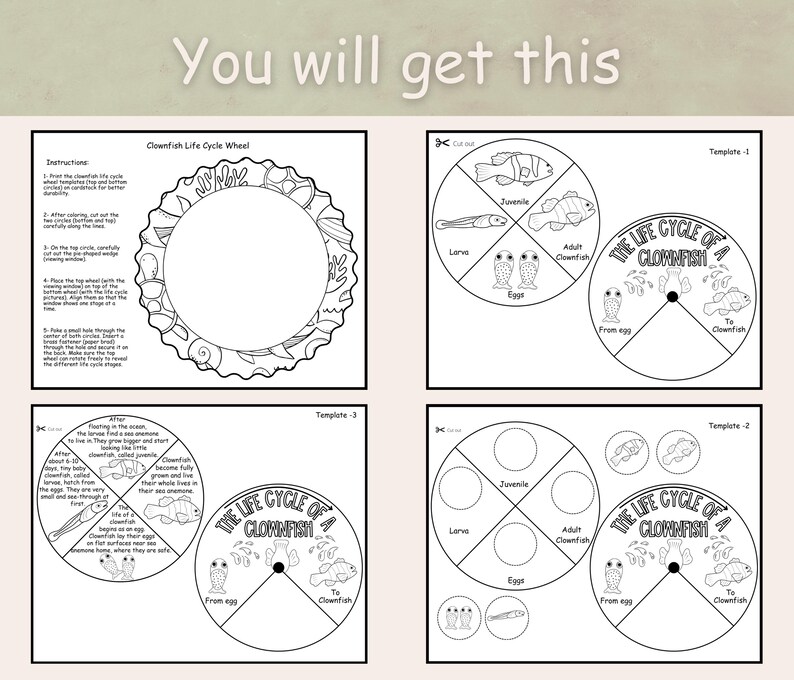Life Cycle of a Clownfish Spinner Wheel, Sequence Activity for ...