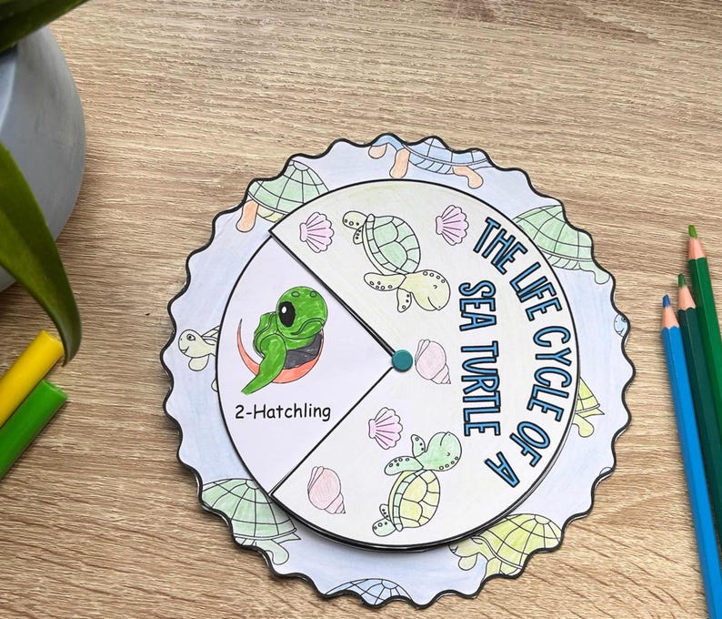Life Cycle of a Sea Turtle Wheel, Homeschool Science Unit Activity ...