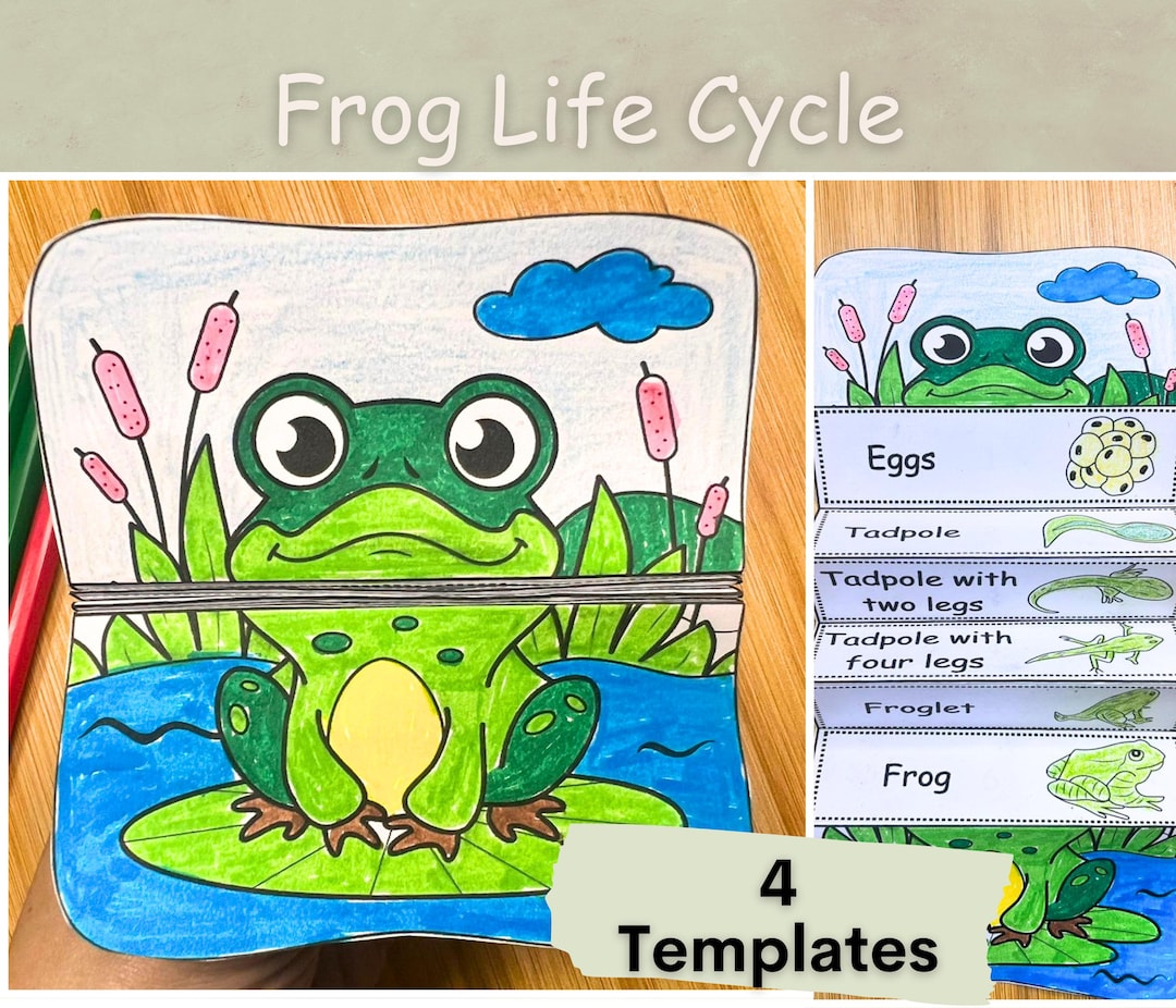 Frog Life Cycle Foldable Activity, Homeschool Science Unit Activity ...