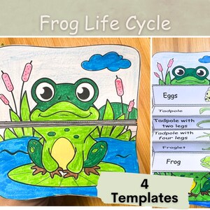 Frog Life Cycle Foldable Activity, Homeschool Science Unit Activity ...