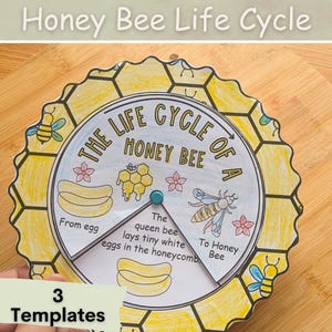 Life Cycle of a Honey Bee Wheel, Homeschool Science Unit Study ...