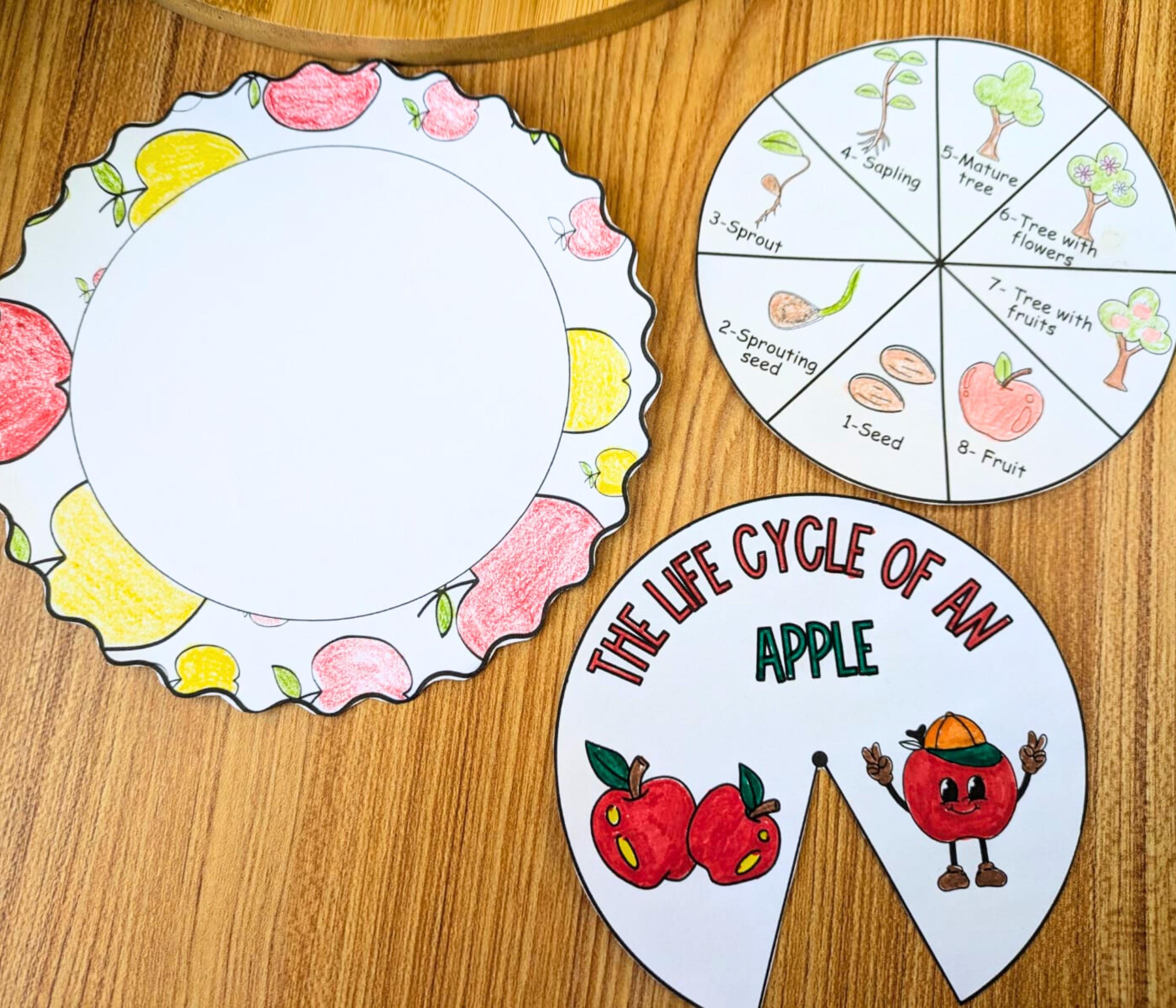 Life Cycle of an Apple Spinner Wheel Kids, Homeschool Science Unit ...