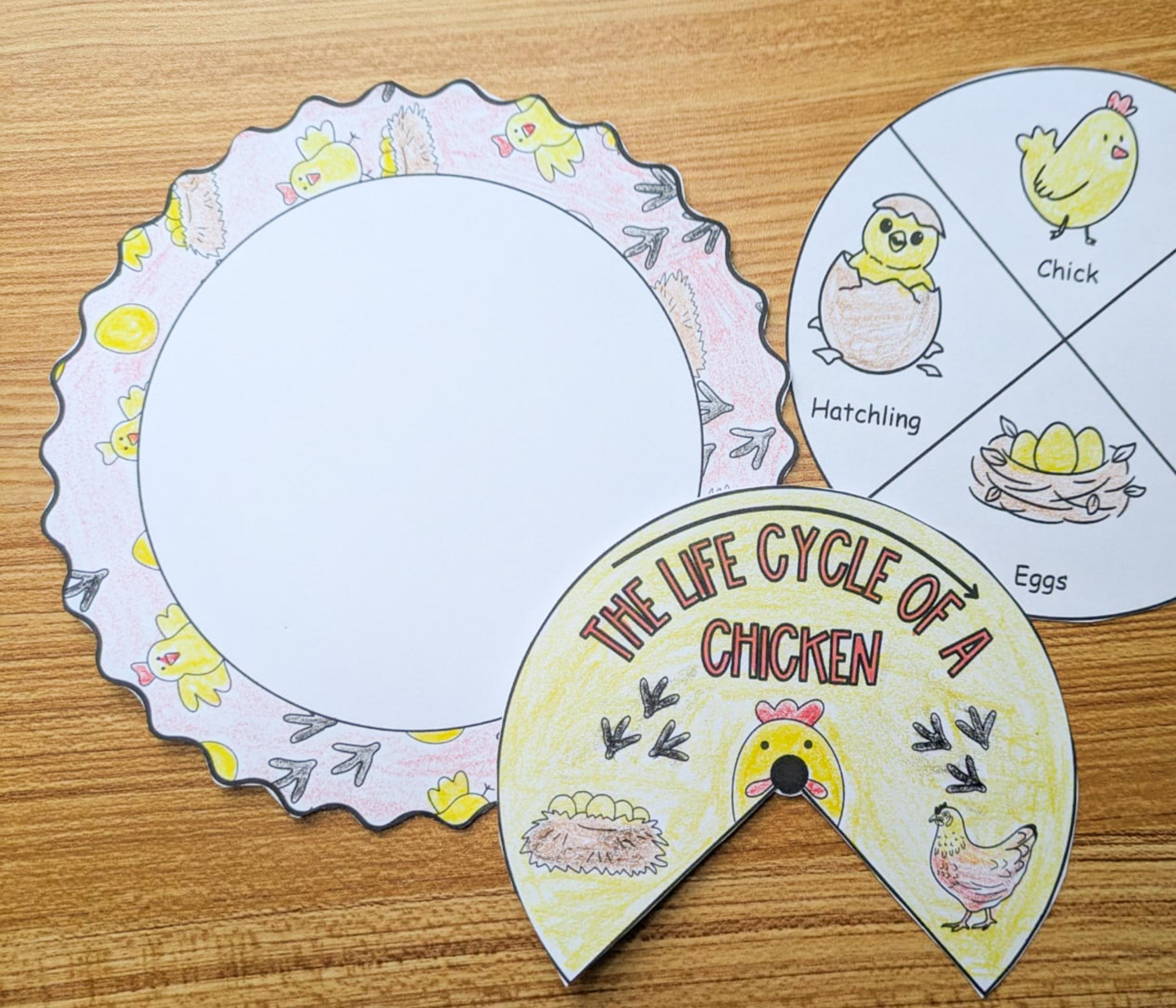 Life Cycle of a Chicken Wheel, Homeschool Science Unit Study ...