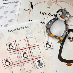 Penguin Unit Study, Life Cycle, Charlotte Mason Inspired Preschool ...